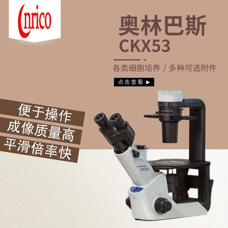 奥林巴斯显微镜CKX53的应用方案_奥林巴斯CKX53_北京瑞科中仪科技有限公司